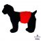 Cherry Red Dog Belly Band Male Wrap - Barkertime