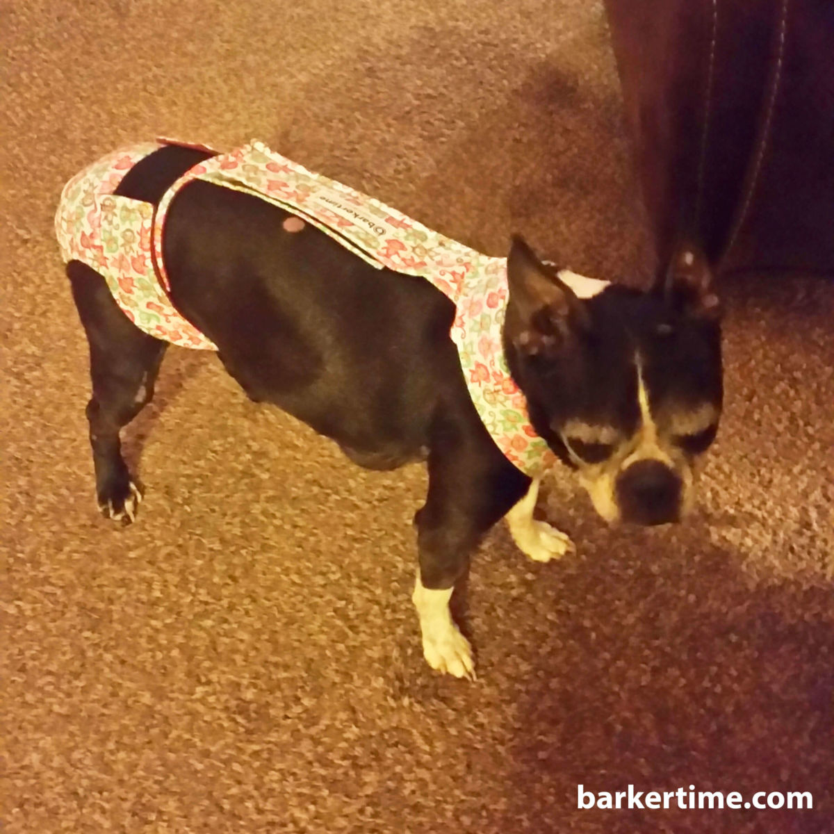 Barkertime Mini Happy Monkey Escape-Proof Washable Dog Diaper Overall