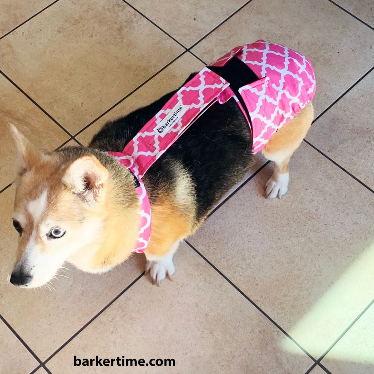 Barkertime Pink Quatrefoil Dog Diaper Overall