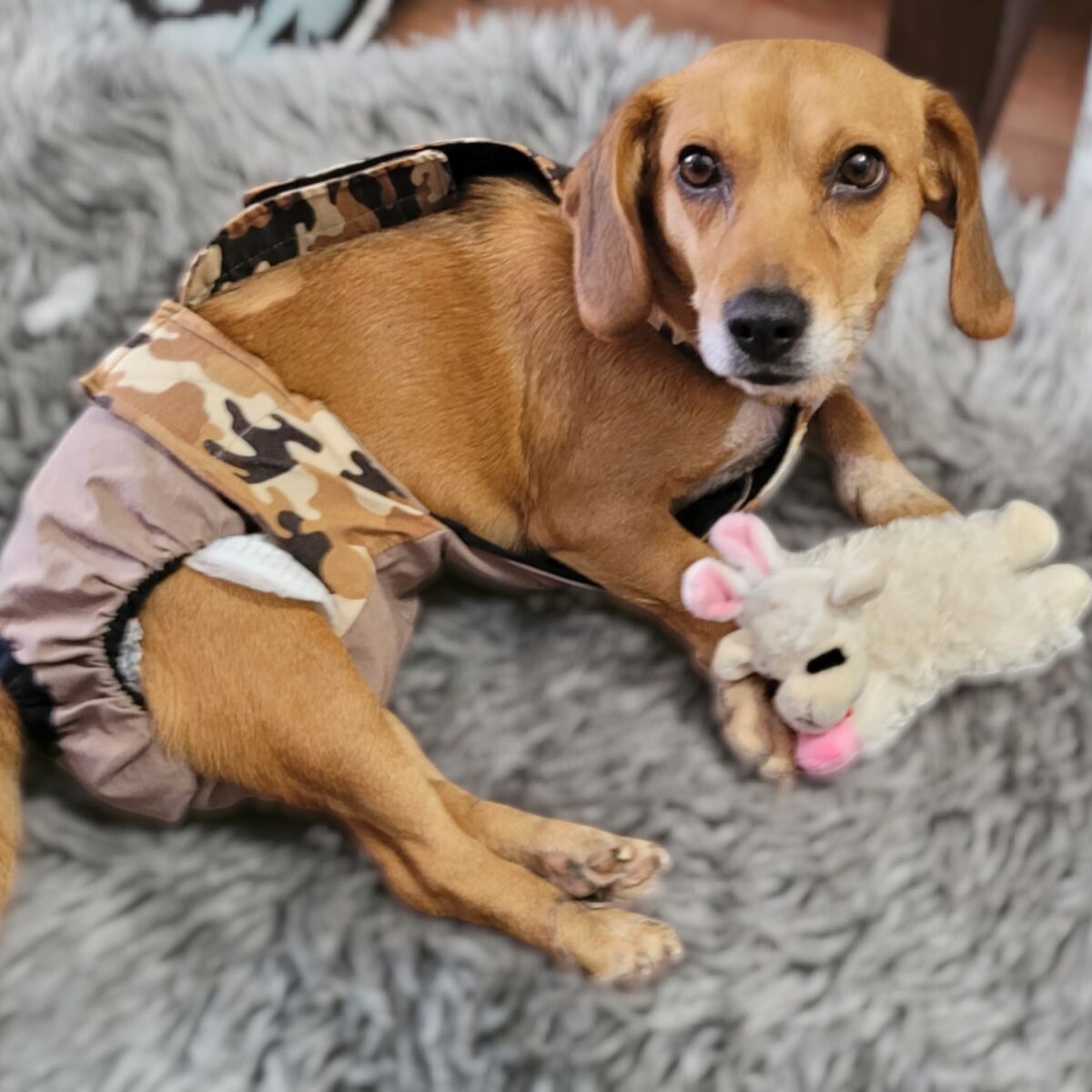 Brown Camo on Brown Dog Diaper Overall - Barkertime